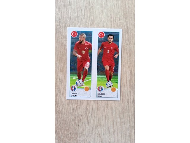 Euro 2016 Panini sličica broj 428