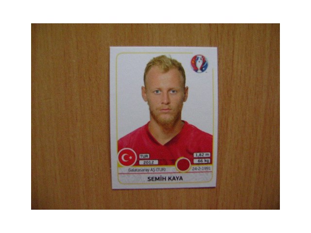 Euro 2016 Panini sličica broj 409
