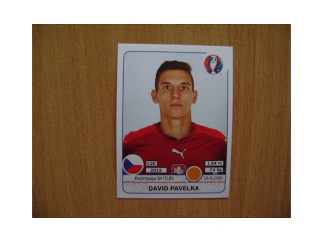 Euro 2016 Panini sličica broj 393