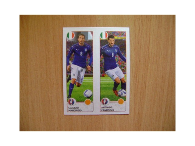 Euro 2016 Panini sličica broj 495