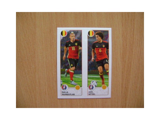 Euro 2016 Panini sličica broj 489