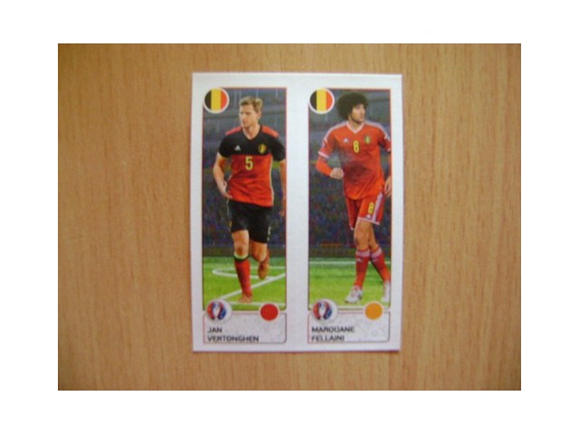 Euro 2016 Panini sličica broj 488