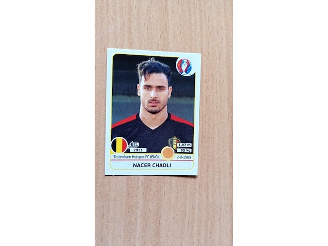 Euro 2016 Panini sličica broj 479