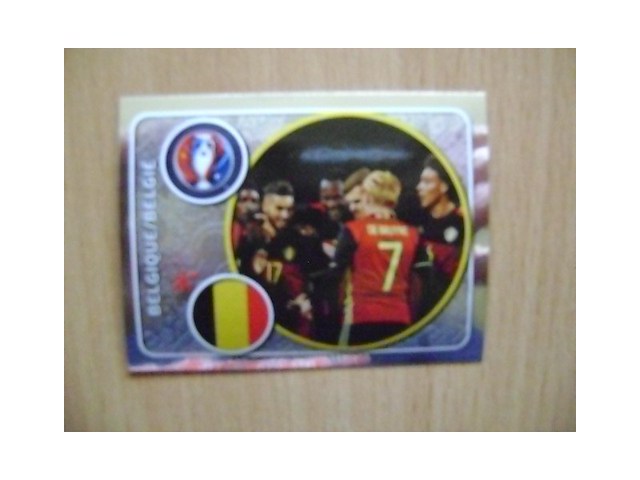 Euro 2016 Panini sličica broj 457