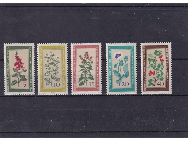 DDR 1960 Flora