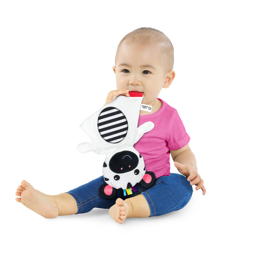 KIDS II BABY EINSTEIN PLISANA IGRACKA – ZEN THE ZEBRA 12490
