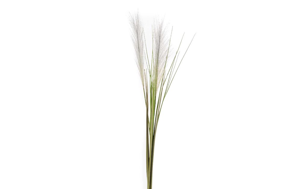 Deko grana Cortaderia 95 cm bež