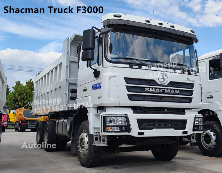 Novi Shacman Truck F3000 for Sale in Angola kiper
