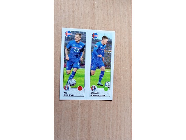 Euro 2016 Panini sličica broj 606