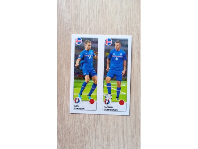 Euro 2016 Panini sličica broj 605