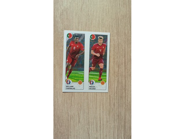 Euro 2016 Panini sličica broj 601