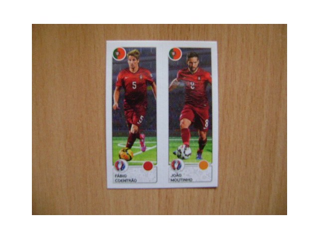 Euro 2016 Panini sličica broj 600