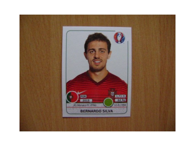 Euro 2016 Panini sličica broj 594