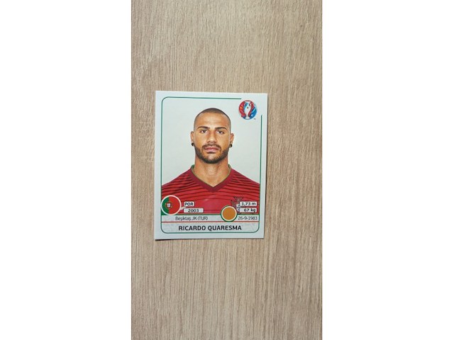 Euro 2016 Panini sličica broj 593