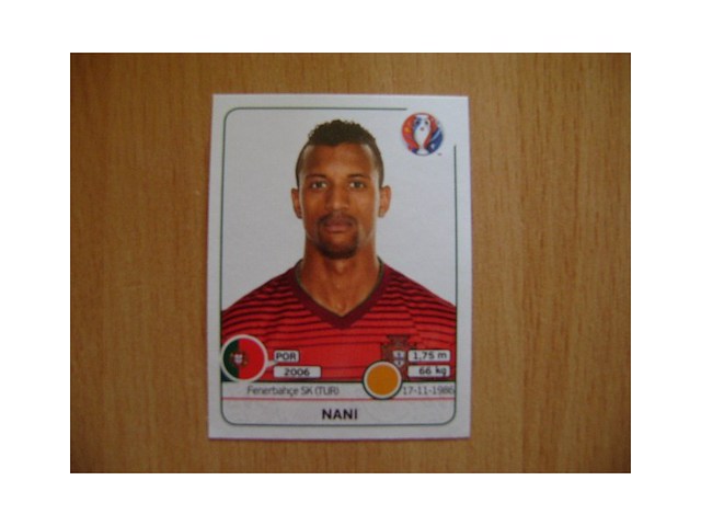 Euro 2016 Panini sličica broj 590