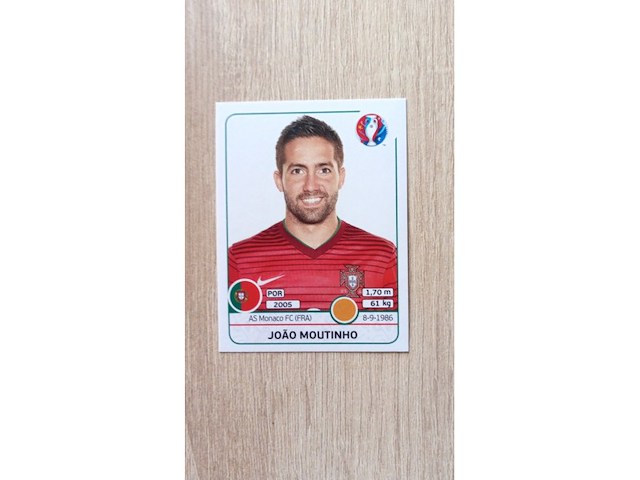 Euro 2016 Panini sličica broj 589