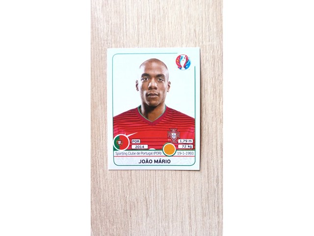 Euro 2016 Panini sličica broj 588