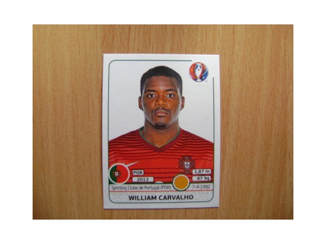 Euro 2016 Panini sličica broj 587
