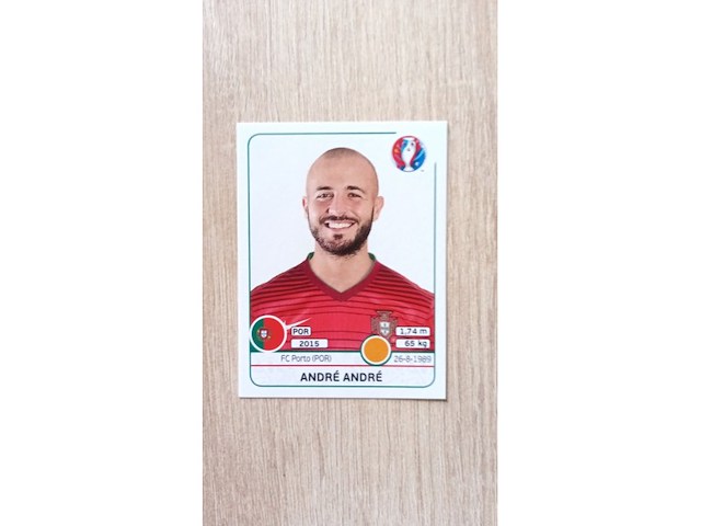 Euro 2016 Panini sličica broj 585
