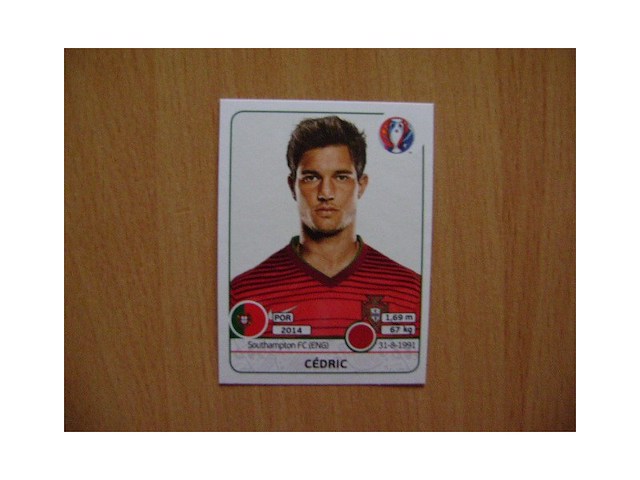 Euro 2016 Panini sličica broj 583