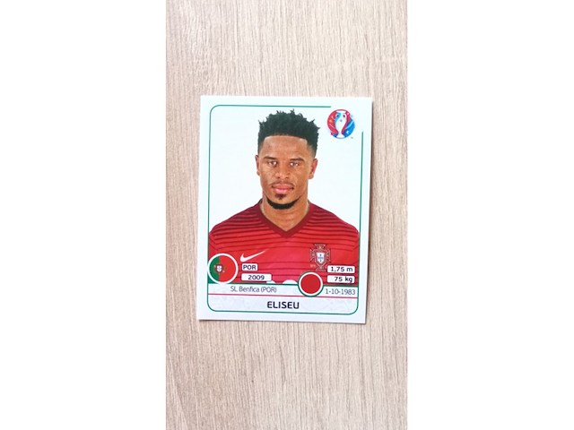 Euro 2016 Panini sličica broj 581