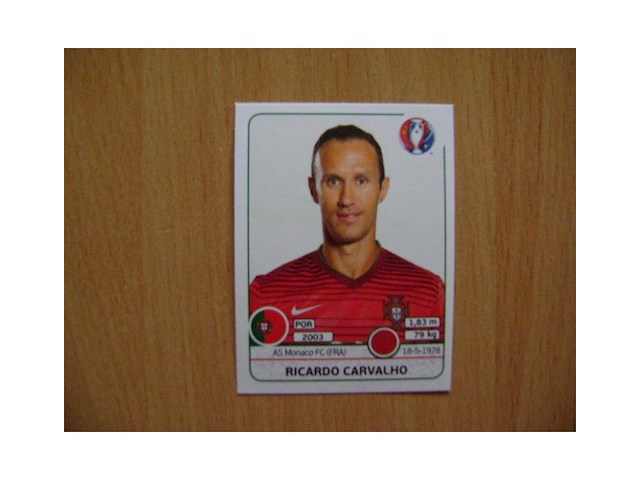 Euro 2016 Panini sličica broj 579