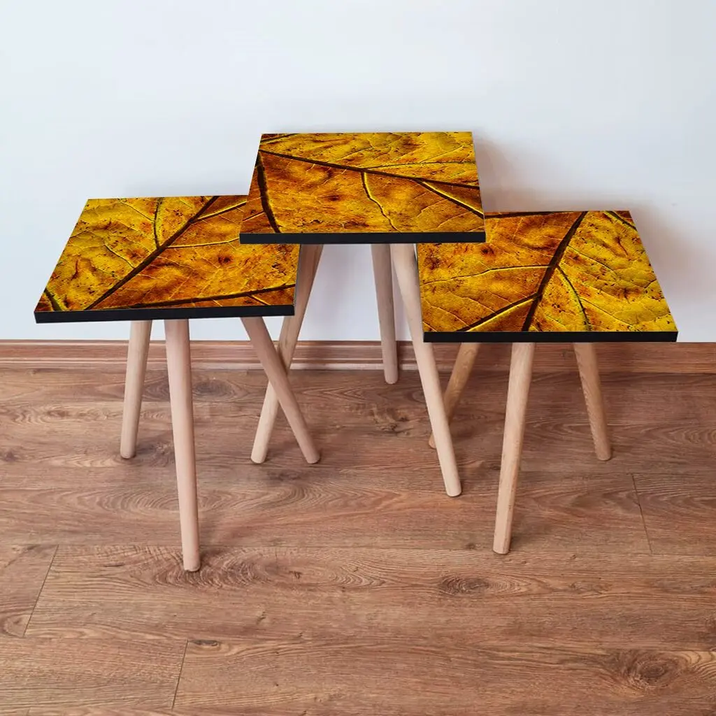 Hanah Home Set klub stočića 3Shp105, 3 komada, Šareni