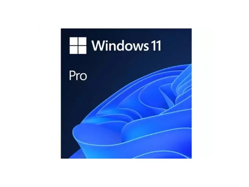 Microsoft Windows 11 Pro 64bit Eng Intl OEM DSP DVD FQC-10528 (24H2)