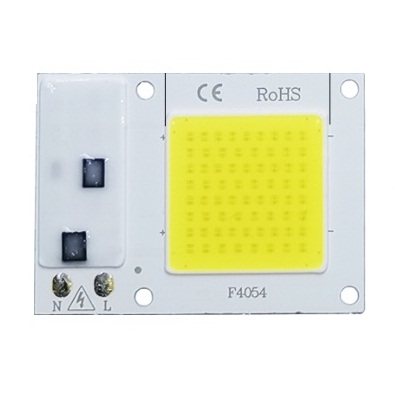 LED 10W-BELO/220V D457