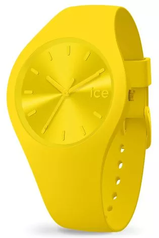 Ice Watch 017909