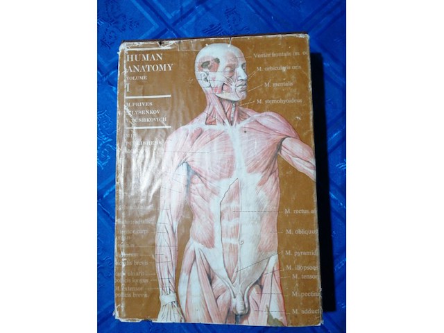 HUMAN ANATOMY VOLUME I