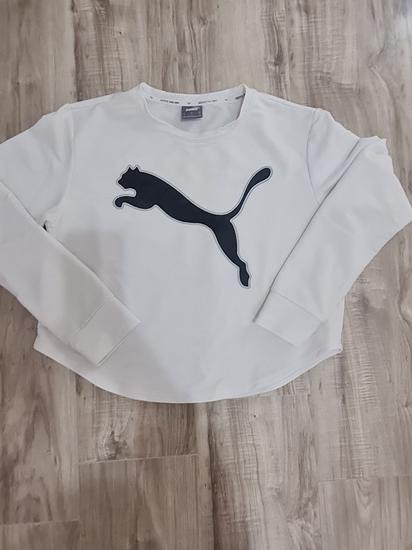 Puma crop duks