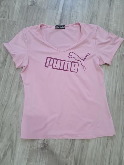 Puma majca