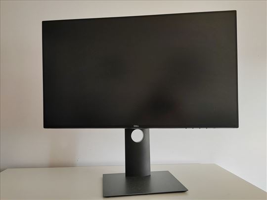 Dell IPS Monitor 24