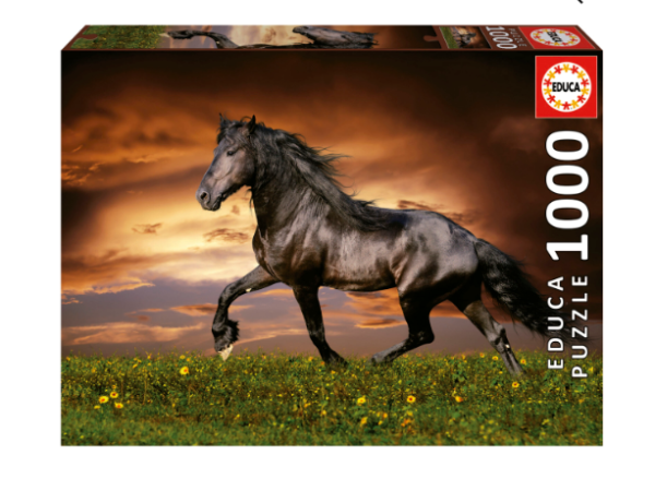 Puzzle Troto Horse 68x48cm