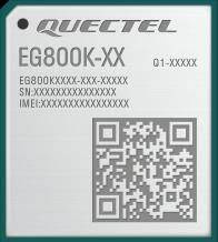 GSM EG800K-EU (R07A07)
