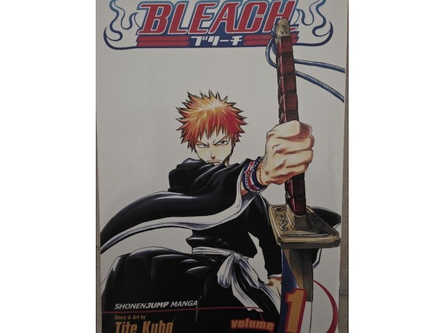 Bleach Volume 1