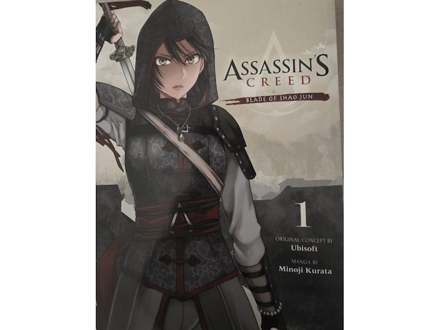 Assassin`s creed