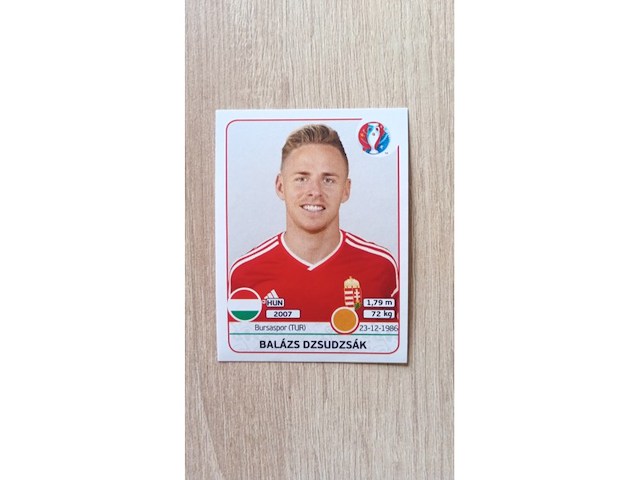Euro 2016 Panini sličica broj 673