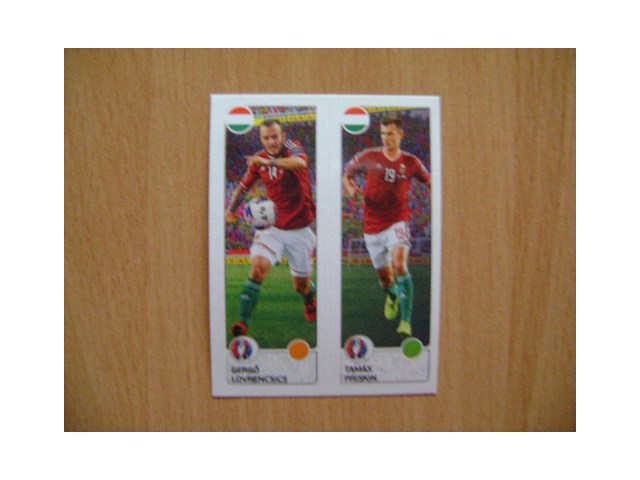 Euro 2016 Panini sličica broj 660