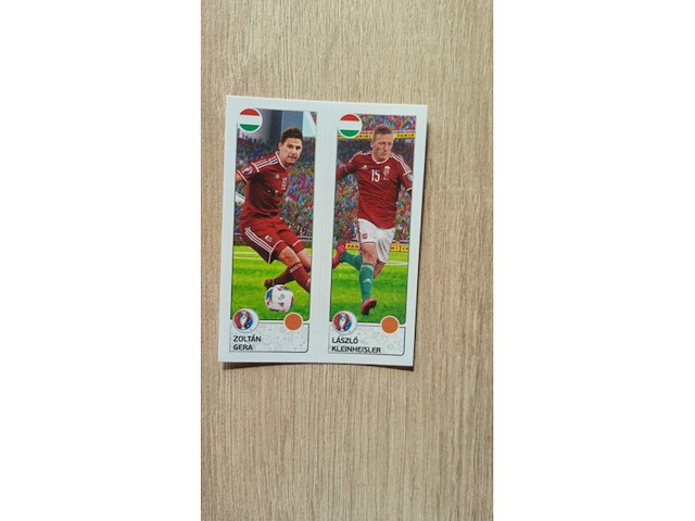 Euro 2016 Panini sličica broj 659