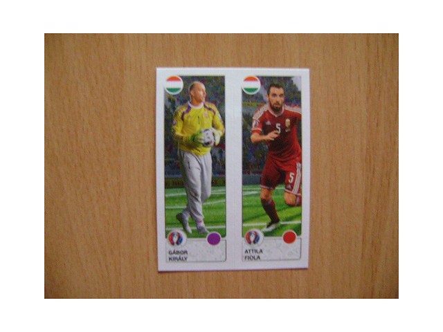 Euro 2016 Panini sličica broj 656