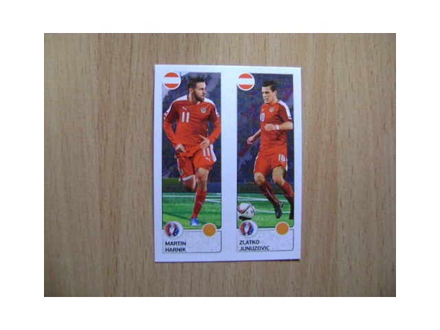 Euro 2016 Panini sličica broj 653