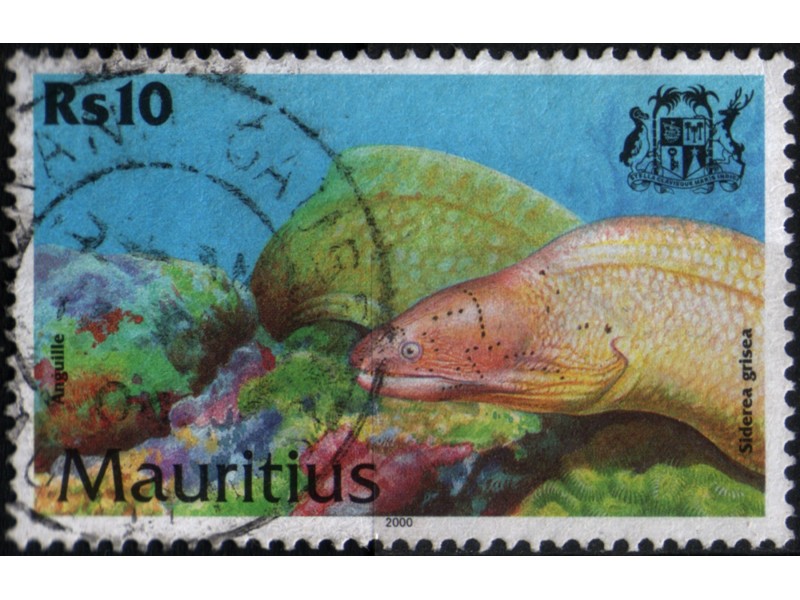 kt699ly 09.okt2000 Mauritius Mi916A(-F-)1od12