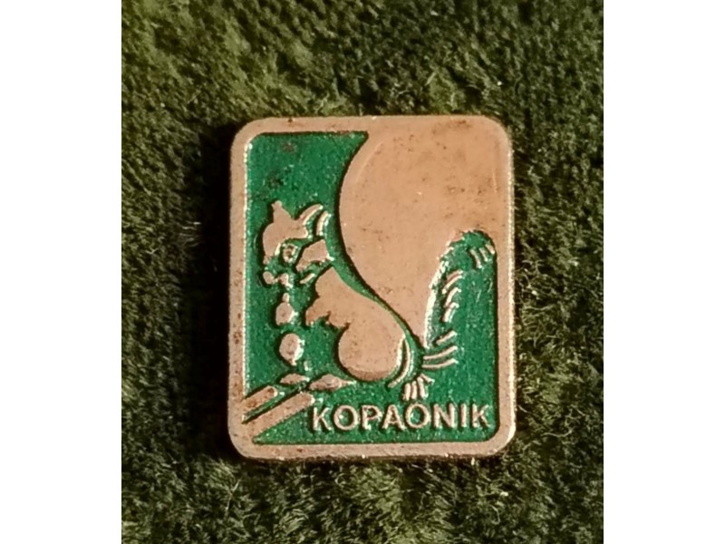 SKIJAŠKA KOPAONIK.