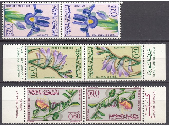 Maroko 1965 Flora tet-beš parovi serija **