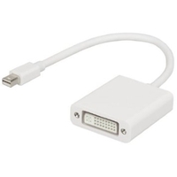 ADAPTER E-GREEN MINI DISPLAY PORT (M) – DVI-I DUAL LINK (F)