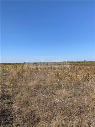 Poljoprivredno zemljište na Paliću potes Hajdukovo
