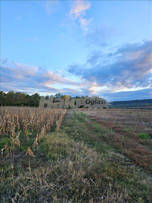 Njiva I klase, 103 ara, pored reke Mlave
