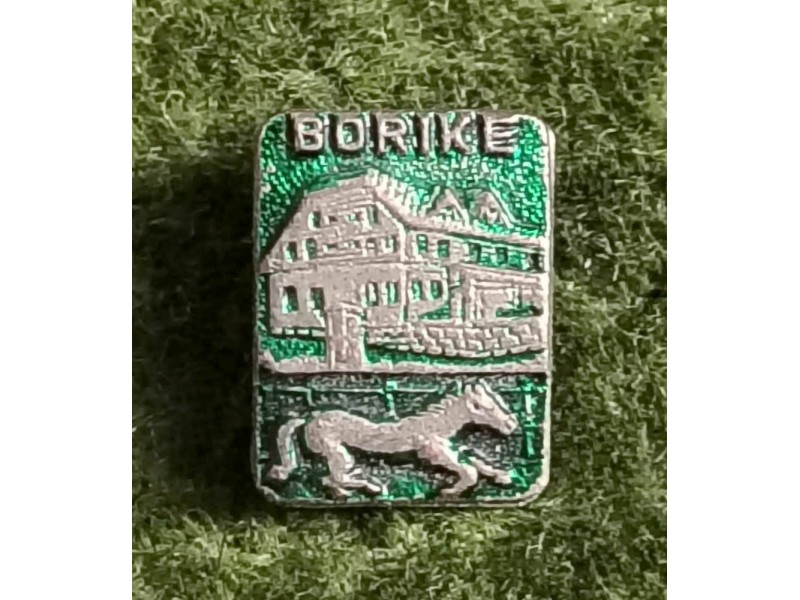 BORIKE.